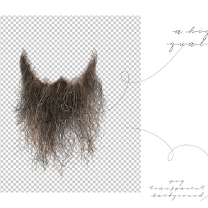 Beard Clipart, Beard Overlay, Men Hairstyle, Beard Png Bundle, Beard ...