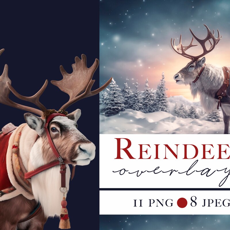 Reindeer Overlay - Etsy