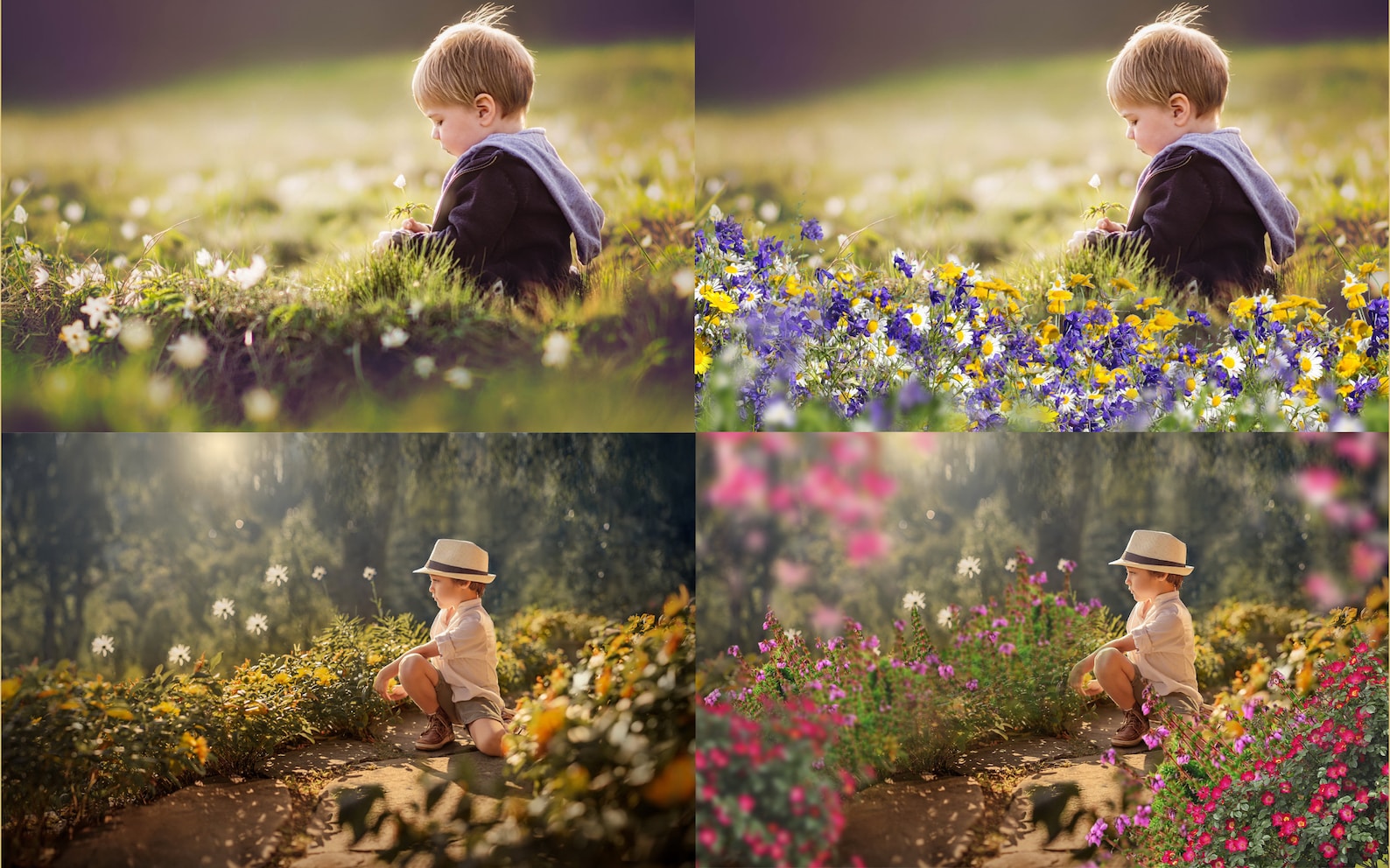 Flower Glade Photoshop Overlays Flowering Field Photo - Etsy