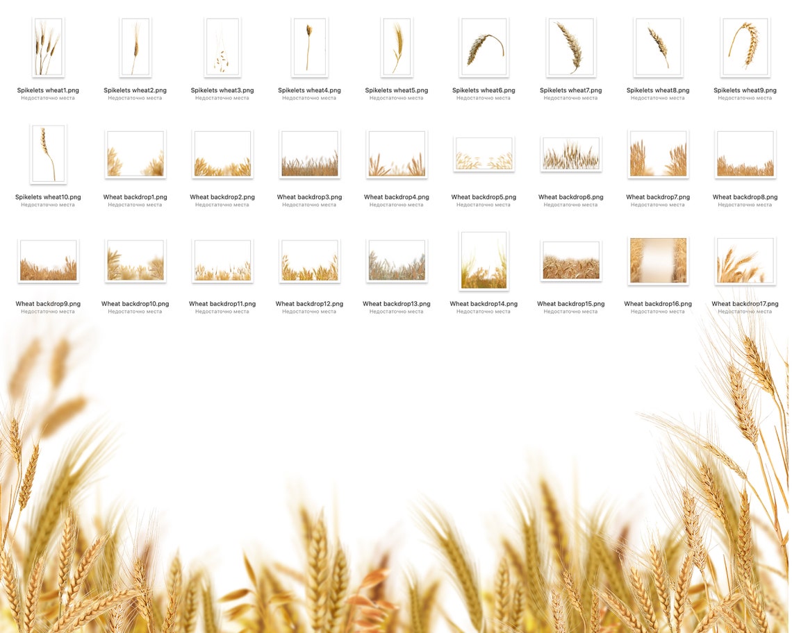 Field Overlays, Wheat Fields Overlay, Golden Field Photo Overlays ...