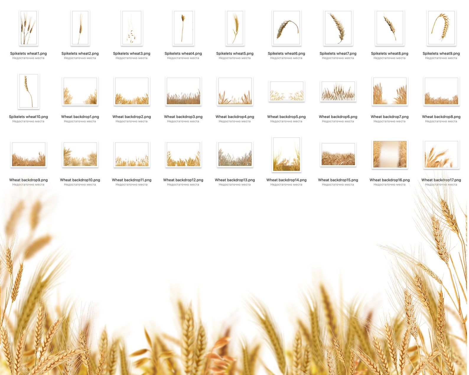 Field Overlays Wheat Fields Overlay Golden Field Photo - Etsy