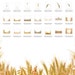 Field Overlays, Wheat Fields Overlay, Golden Field Photo Overlays ...