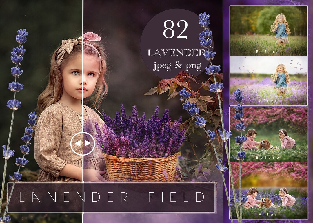 Lavender Field, Lavender Overlay, Digital Background, Photo Overlays ...
