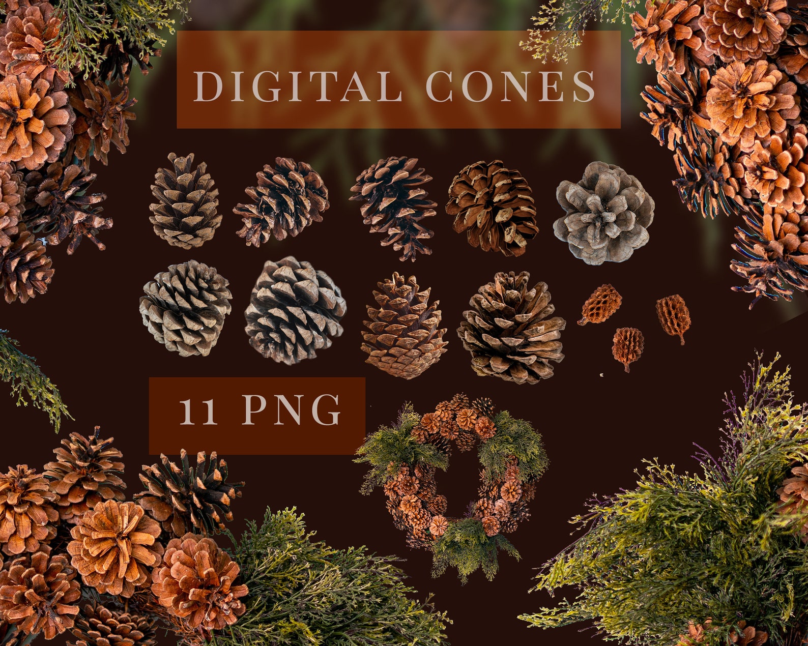 Coniferous Overlays, Evergreen Overlay Pack, Winter Digital Photoshop ...