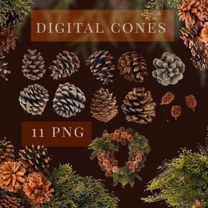 Coniferous Overlays, Evergreen Overlay Pack, Winter Digital Photoshop ...