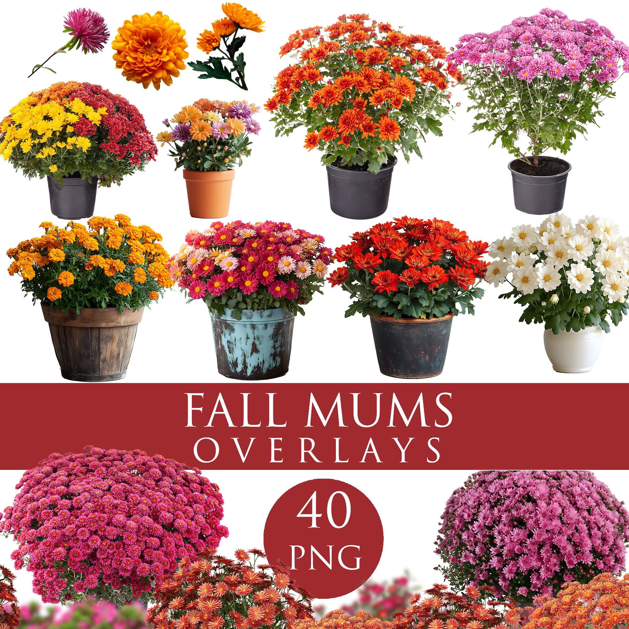 Flower Clipart, Photo Composite, Flower Meadow Photoshop Overlays ...