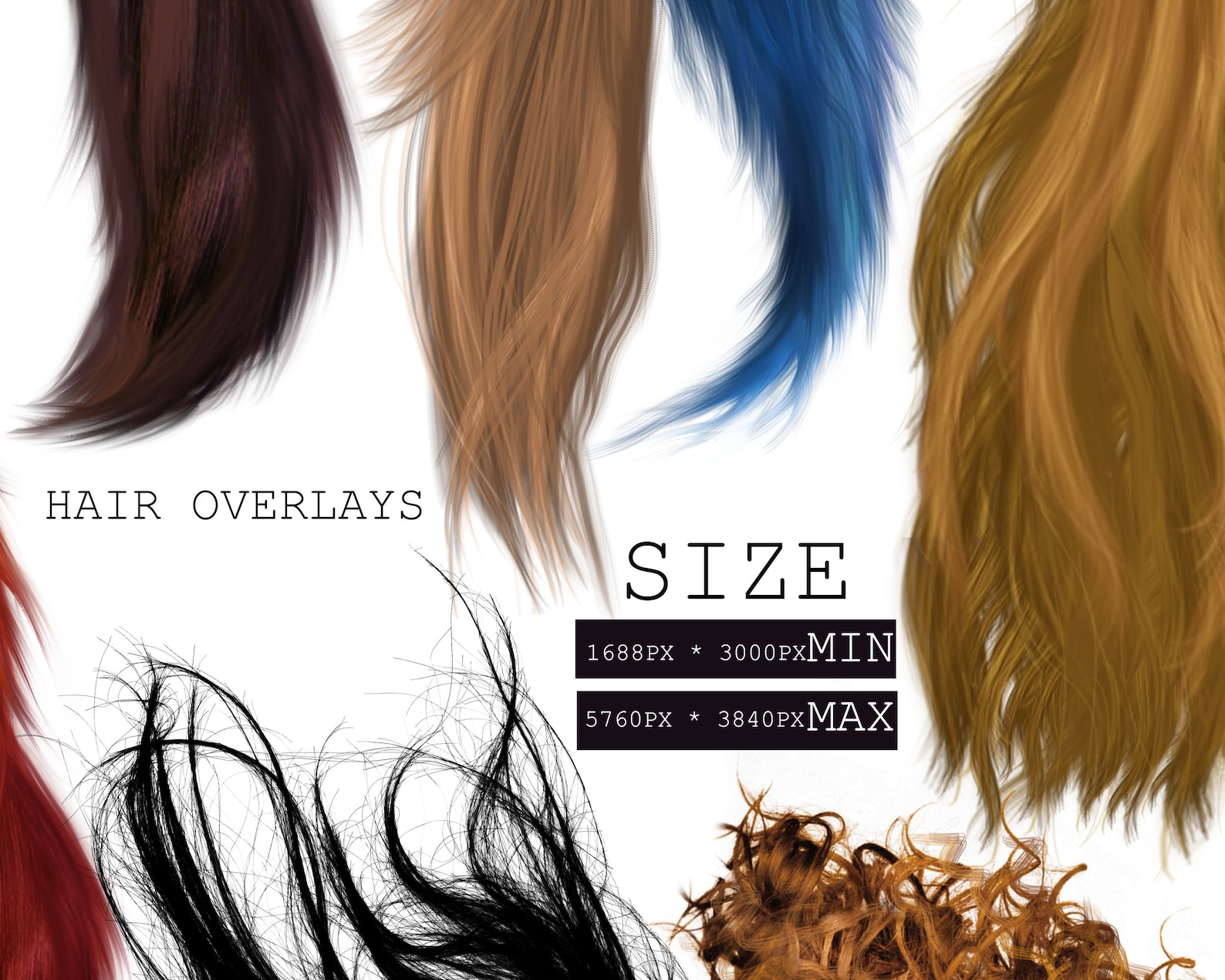 Hair Clipart, Hair Overlays, Curly Hair Png, Real Hair Overlays ...