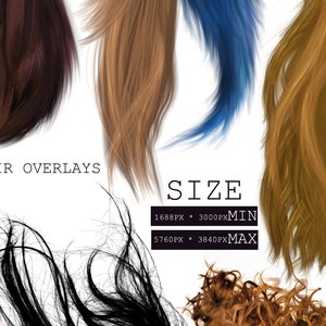 Hair Clipart, Hair Overlays, Curly Hair Png, Real Hair Overlays ...