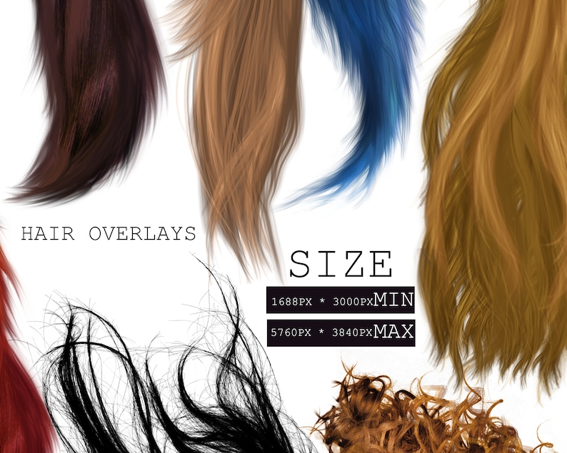 Hair Clipart, Hair Overlays, Curly Hair Png, Real Hair Overlays ...