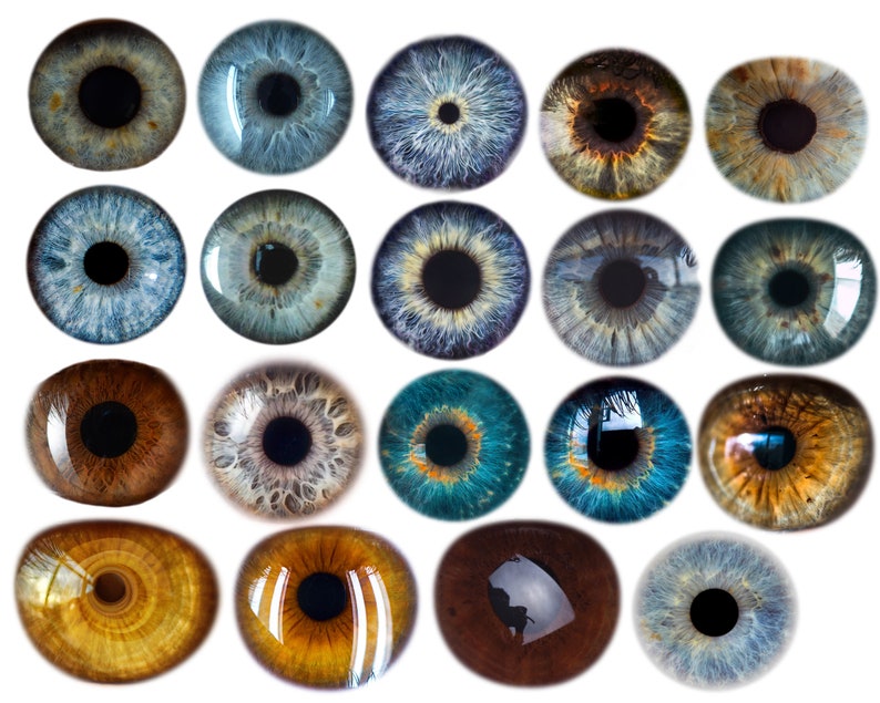 Eyes Clipart Eyes Overlays Eyes Photoshop Overlays Eye Png - Etsy Canada