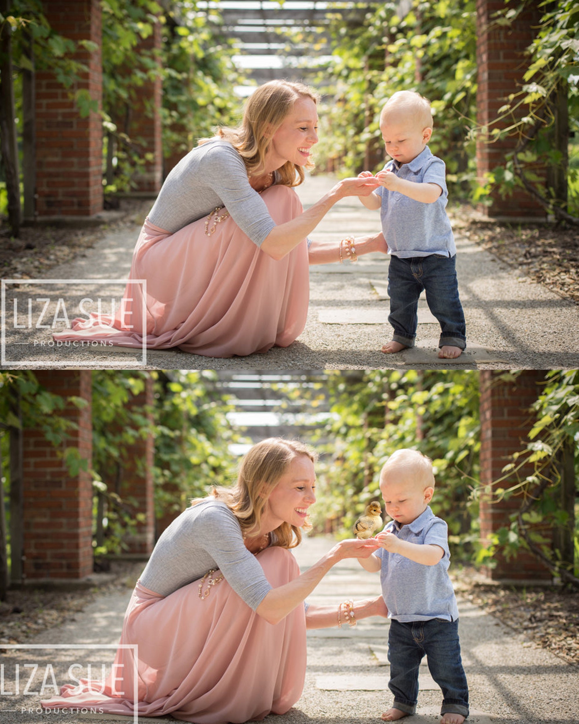 Farm Animal Overlays Chickens Overlays Easter Overlays | Etsy Canada