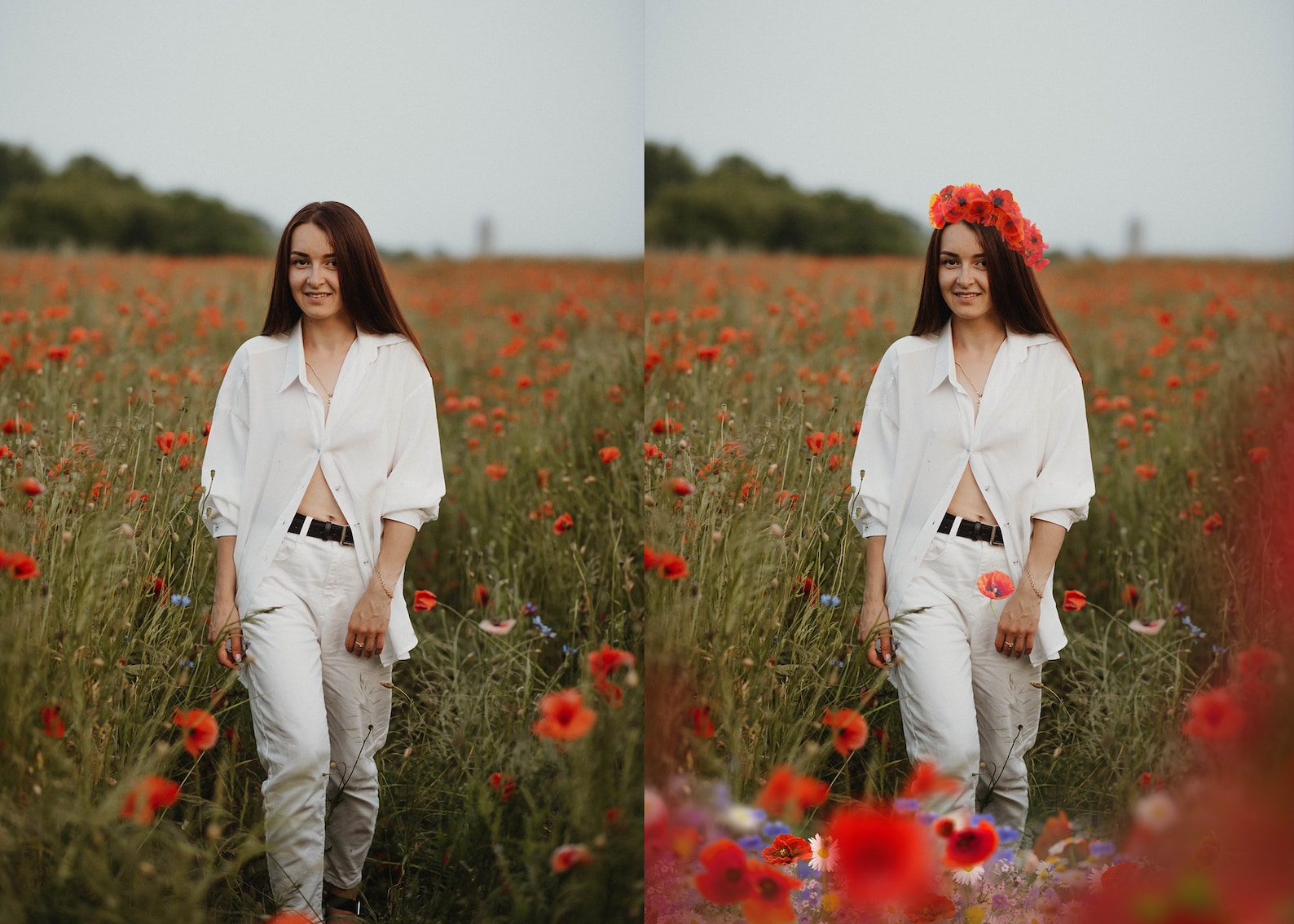 36 Red Poppies Overlays Poppy Photo Overlay Summer Flower - Etsy