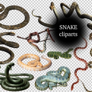 Snake PNG Overlays, Reptiles Cliparts, Wild Animals, Digital Download ...