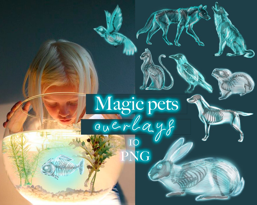 Magical Animals Wizard Overlay, Animal Overlay, Ghost Overlays, Scary ...