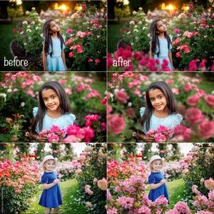 Roses Photo Overlays, Valentine's Day Overlays, Flower Overlays, Roses ...