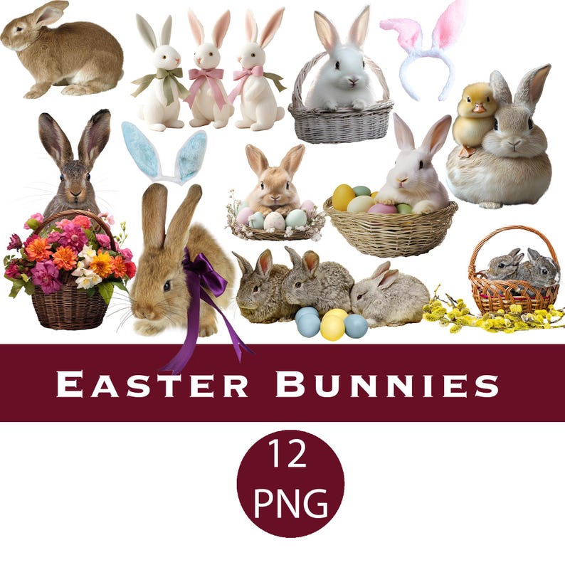 Easter Bunnies, Easter Overlays, Photoshop Overlay, Bunny Overlays ...