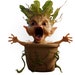 Mandrake Clipart, Mandragora Png, Baby Mandrakes Overlays, Magic Wizard ...