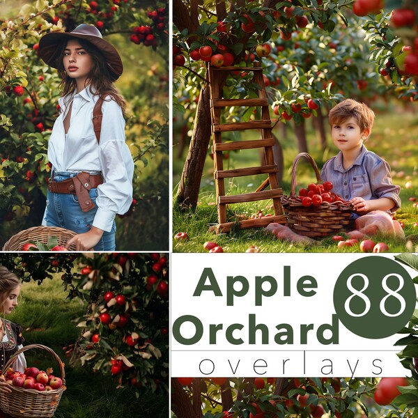 Apple Tree Branch Overlays - Etsy