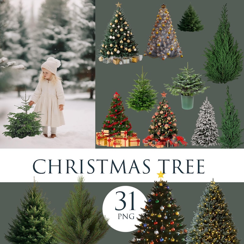 Tree Art Photographs - Etsy