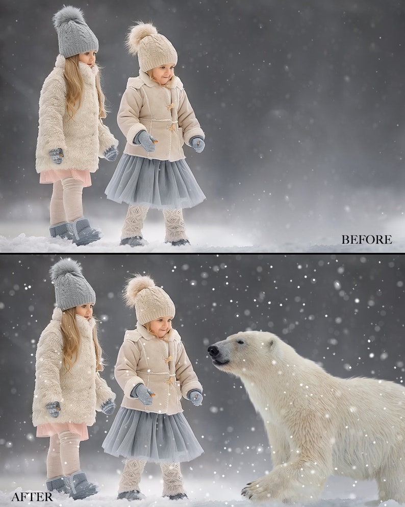 Polar Bears Overlays Bear Transparent Png Images Bears Photo - Etsy