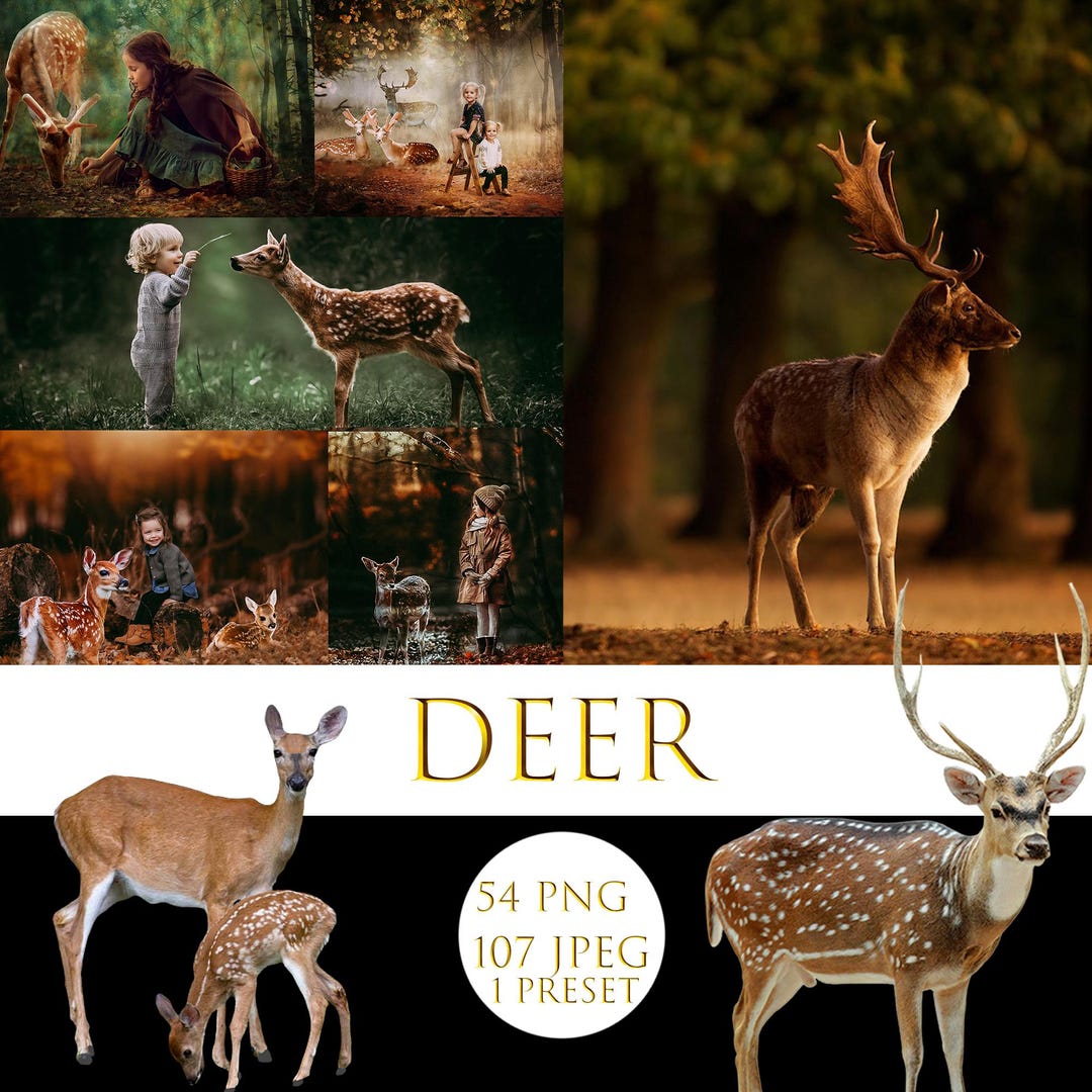 Deer Overlays, Animal Overlay and Photoshop Action Collection, Forest ...