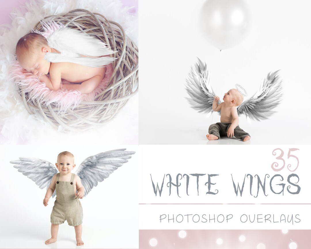 White Wings Png, Angel Wings Overlays, Angel Wings Clipart, Wings ...