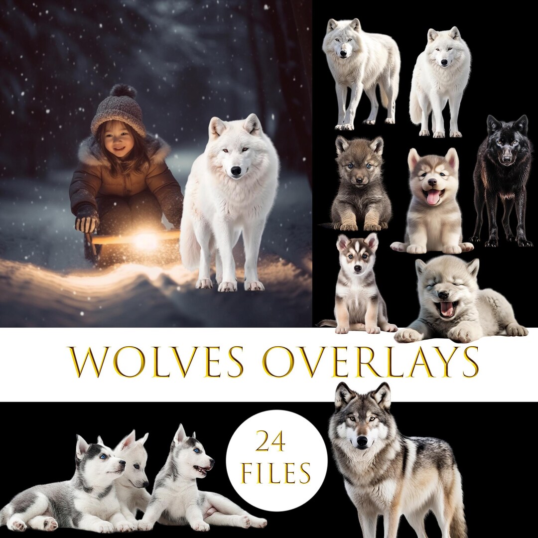 Wolf Clip Art, Wolves Png, Wildlife Animal Png, Realistic PNG Clip Art ...