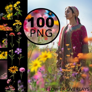 Wildflower Overlays, Flower Overlays, Flowering Fields for Photo ...