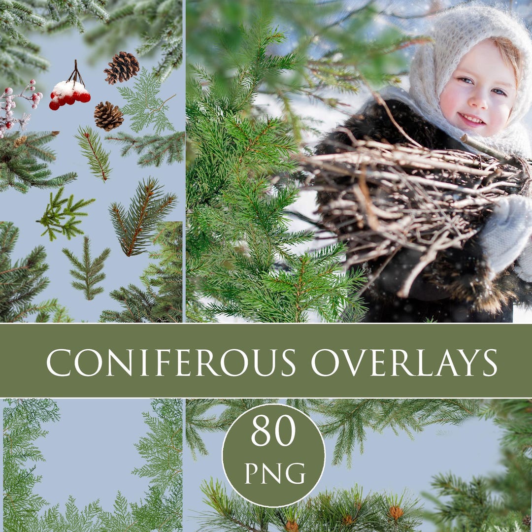 Coniferous Overlays, Evergreen Overlay Pack, Winter Digital Photoshop ...