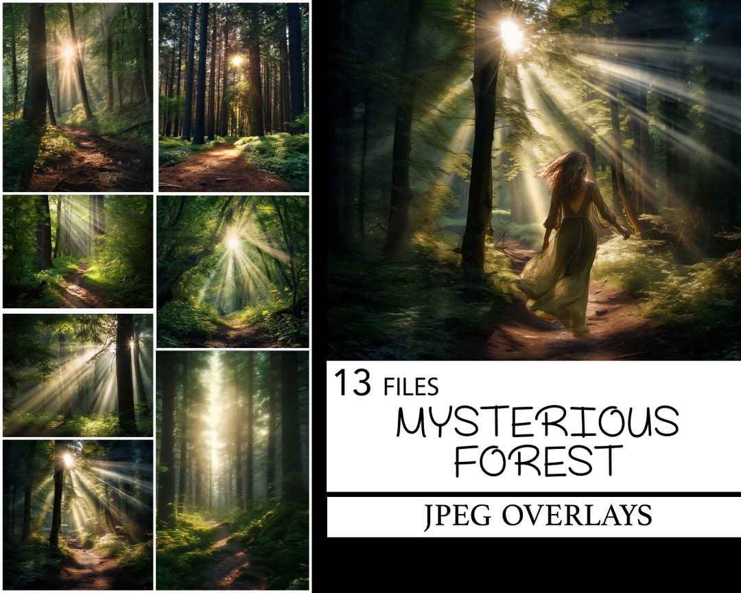 Forest Background, Mysterious Forest, Summer Field Digital Backdrop ...