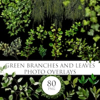 Green Trees Overlays , Tree Overlays , Overlays for Photoshop, Trees ...