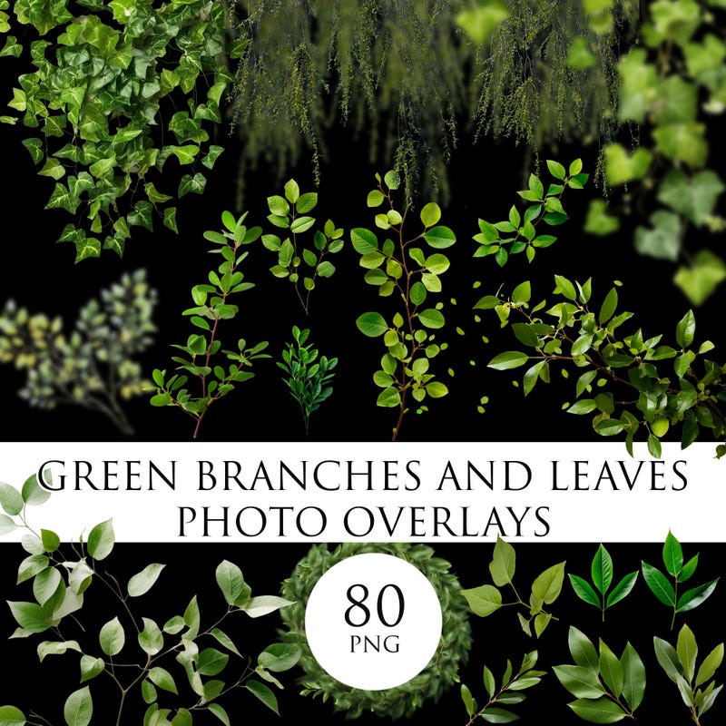Leaf Overlay - Etsy