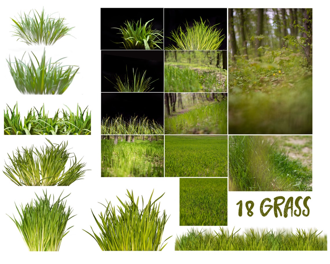 Grass Photo Overlays Glade Photoshop Overlays Grass Png - Etsy