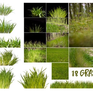 Grass Photo Overlays, Glade Photoshop Overlays, Grass Png, Foreground ...
