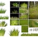 Grass Photo Overlays, Glade Photoshop Overlays, Grass Png, Foreground ...