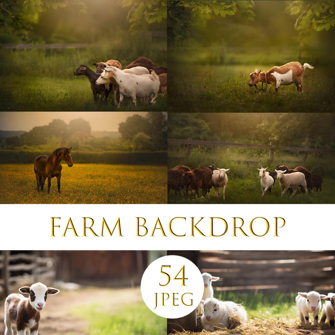 Farm Animals Digital Backdrop: Photo Overlays for Photoshop (JPEG, PNG ...