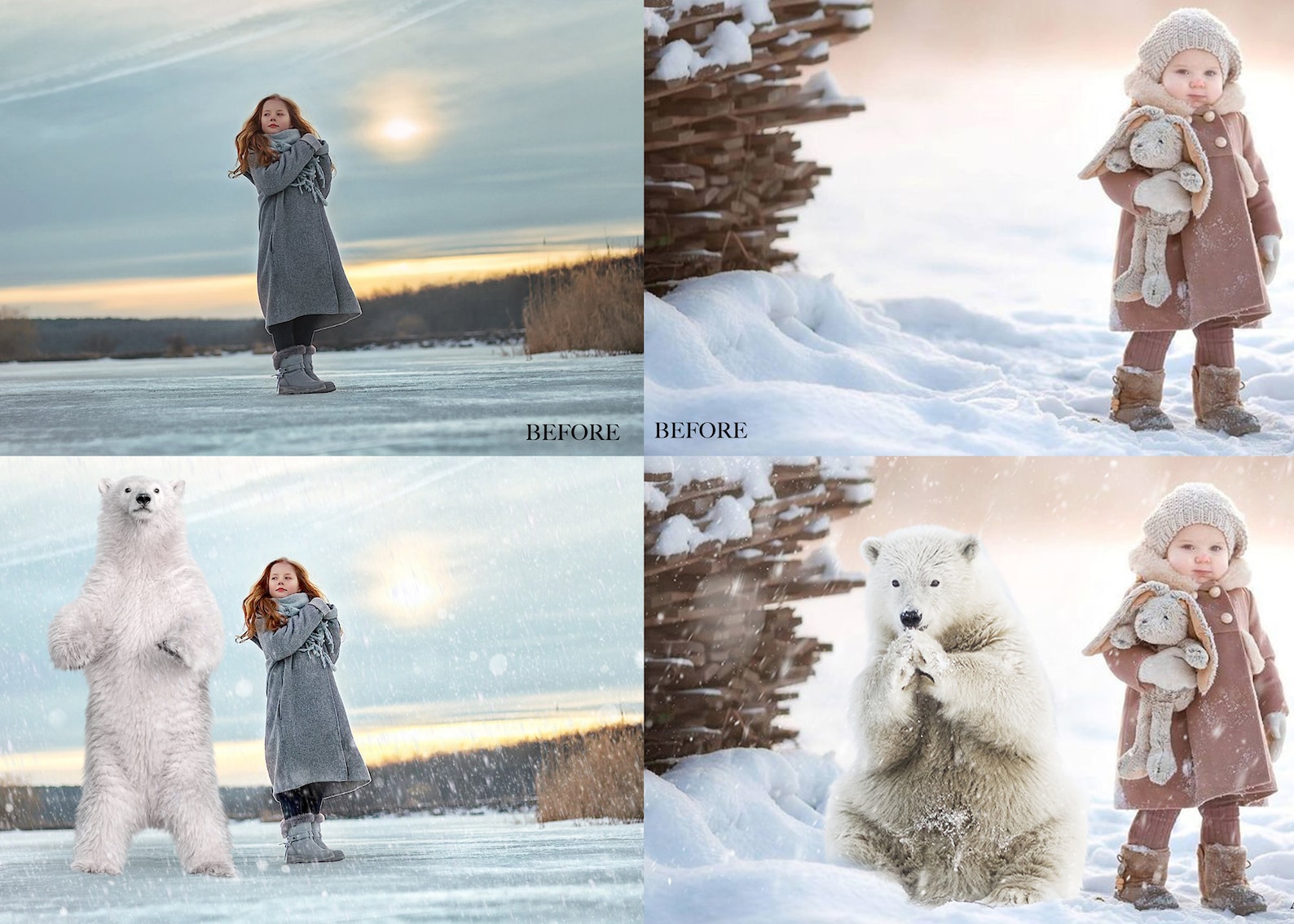 Polar Bears Overlays, Bear Transparent Png Images, Bears Photo Overlay ...