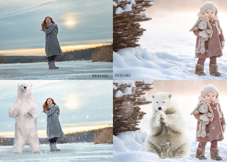 Polar Bears Overlays Bear Transparent Png Images Bears Photo - Etsy