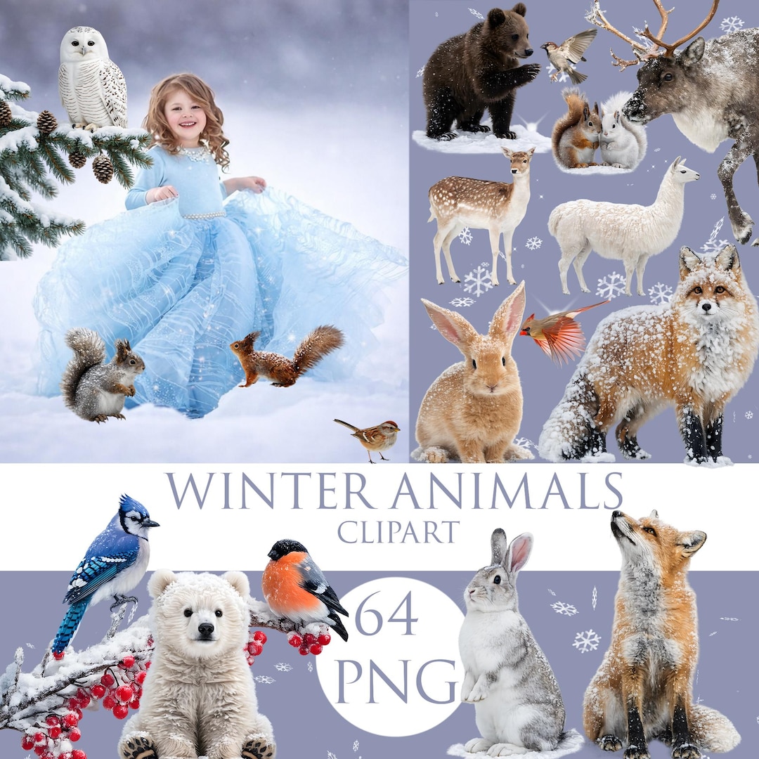 Winter Animals Clipart Bundle, Woodland & Arctic Animal Pngs ...