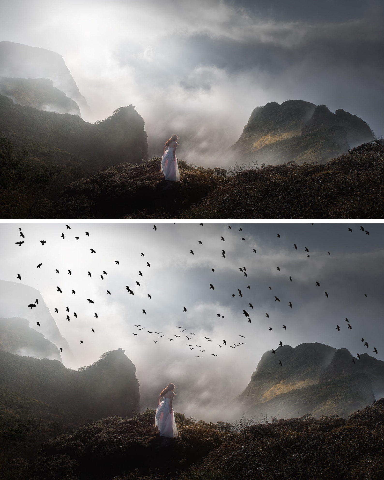 Crows Overlays Fly Bird Overlays Black Raven Png Ravens and - Etsy