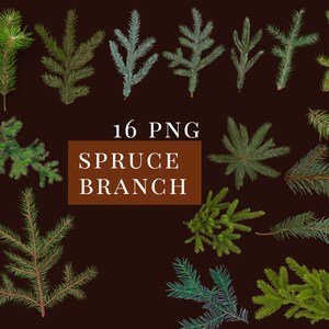 Coniferous Overlays, Evergreen Overlay Pack, Winter Digital Photoshop ...