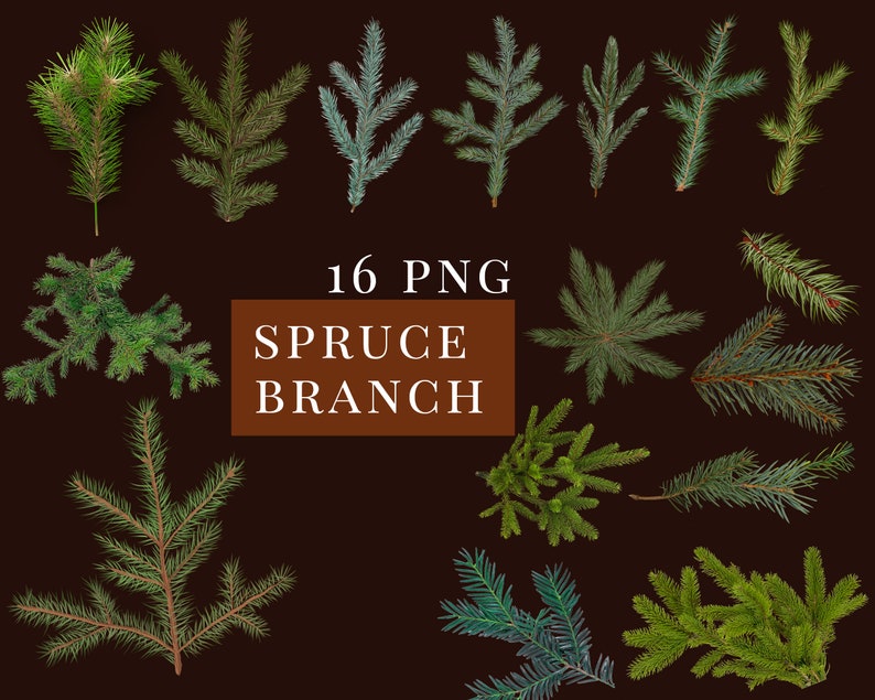 Coniferous Overlays, Evergreen Overlay Pack, Winter Digital Photoshop ...