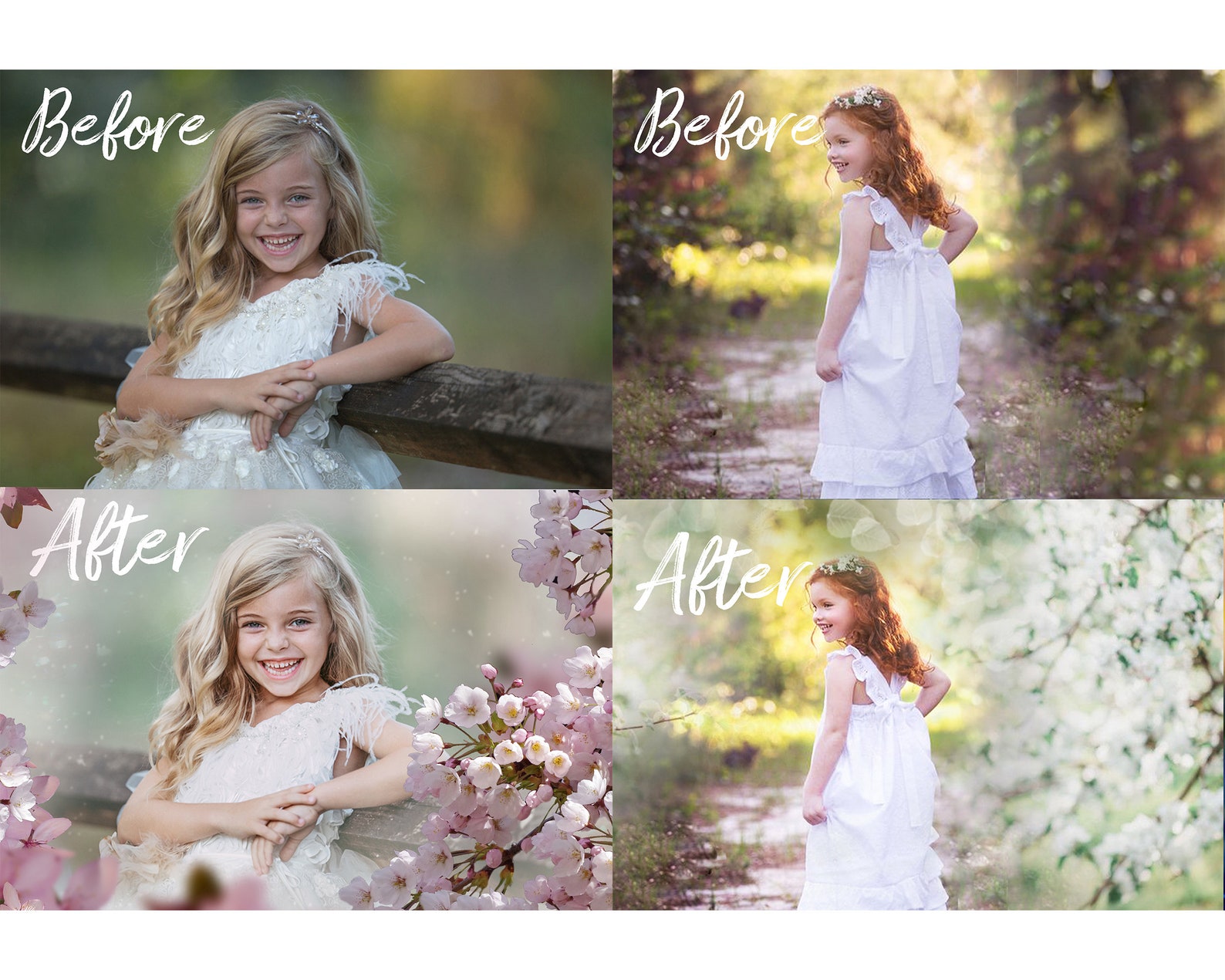 Apple Blossom Overlays Spring Overlays Spring Apple Tree - Etsy