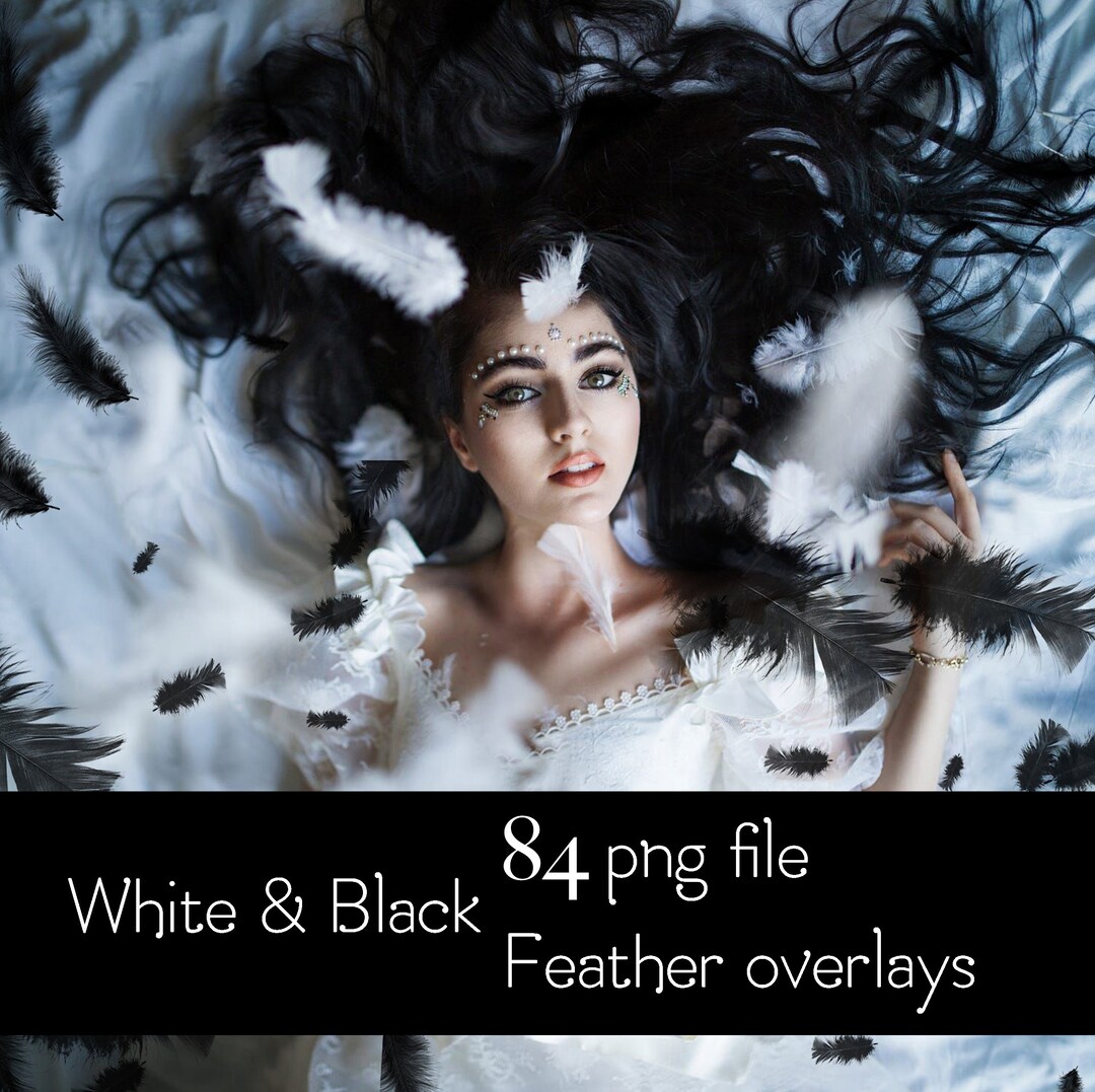 Feather Overlays, Feather Photo Overlay, Feather Photoshop Overlay ...