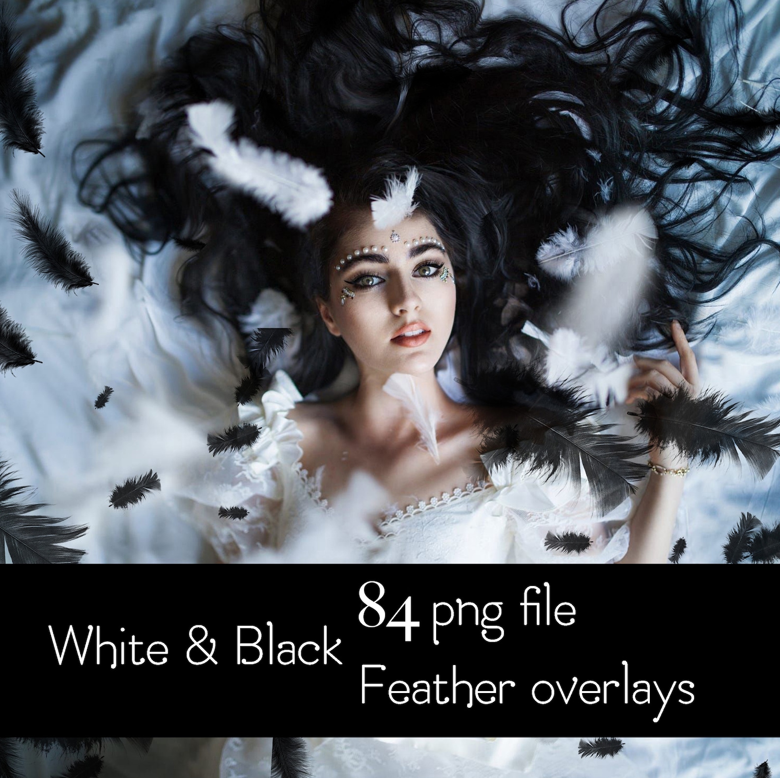 Feather Overlays, Feather Photo Overlay, Feather Photoshop Overlay ...