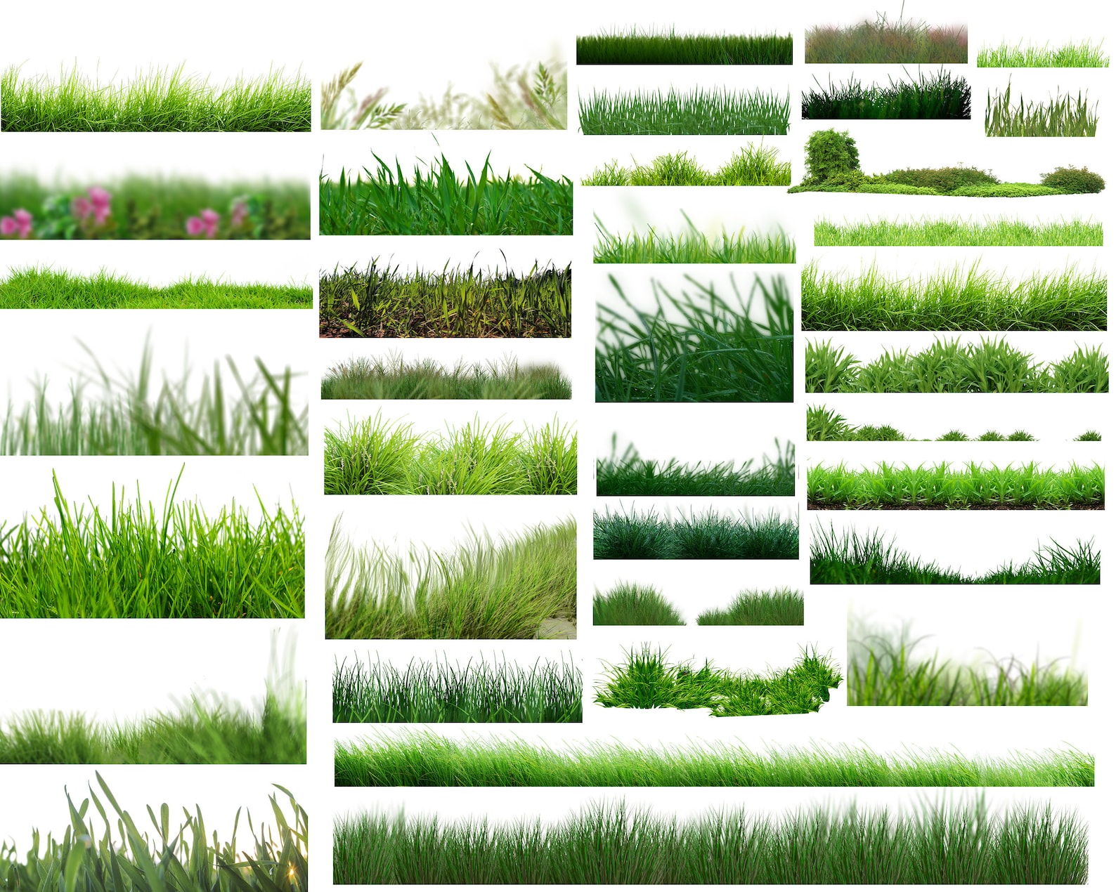 Grass Photo Overlays Glade Photoshop Overlays Grass Png - Etsy