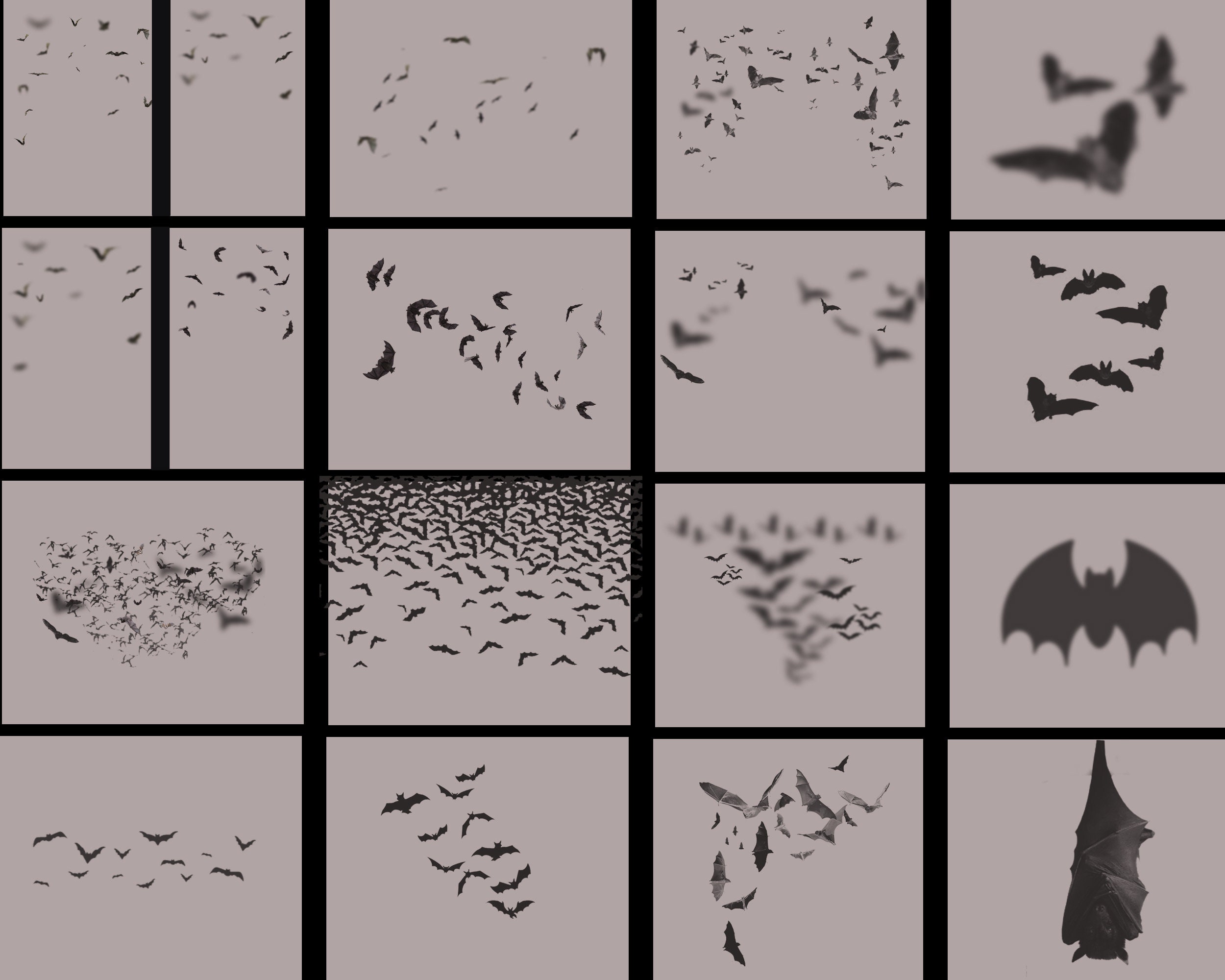 Bats Overlays Flying Bats Overlays Spooky Overlays - Etsy