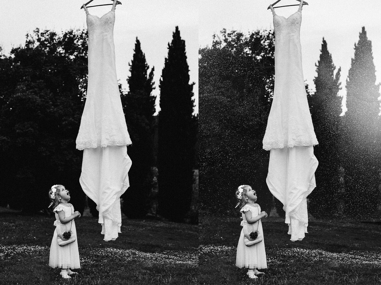 55 Dust Overlays, Floating Dust, Falling Dust, Cinematic Dust Overlay ...