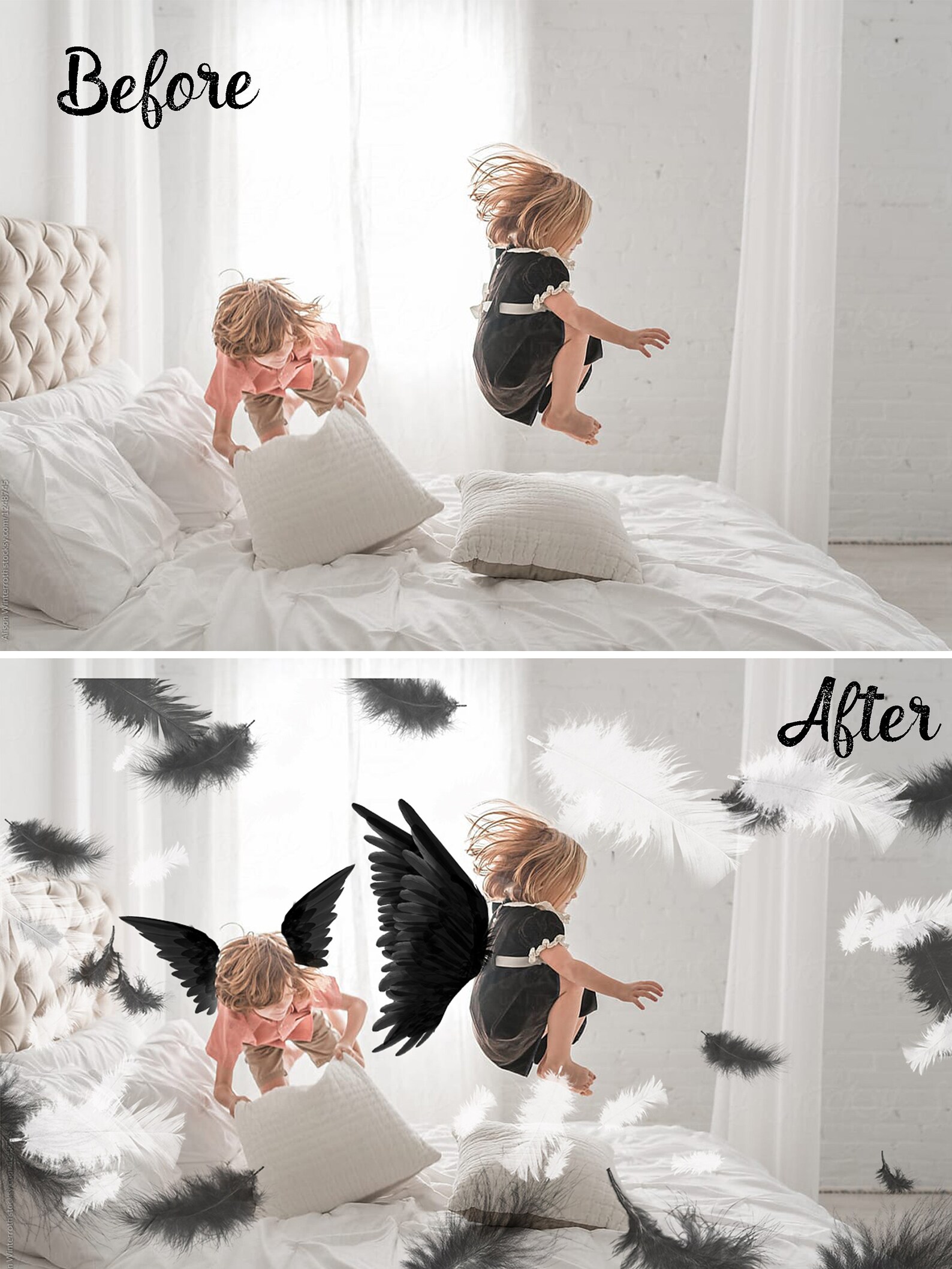 Feather Overlays, Feather Photo Overlay, Feather Photoshop Overlay ...