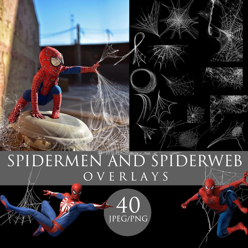 Spider White Background - Etsy